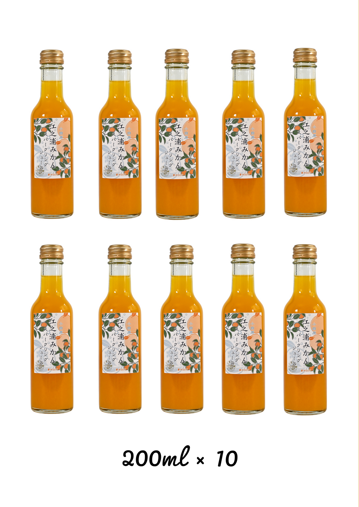 江之浦みかん・片浦レモンスパークリングジュース200ml 10本入り | 江之浦果樹園 maruesu